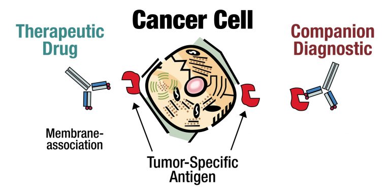 Companion Diagnostics Precision Biologics